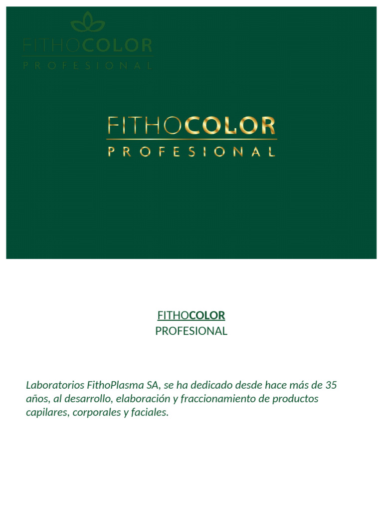 Catalogo Fithocolor Chile Conv | PDF