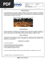 Atividade 7º Ano Sobre Queimadas Com Gabarito | PDF | Desmatamento | Aquecimento global e ...