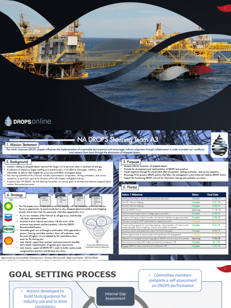 Drops Intro Na Nov 2018 Pdf Pricing Business