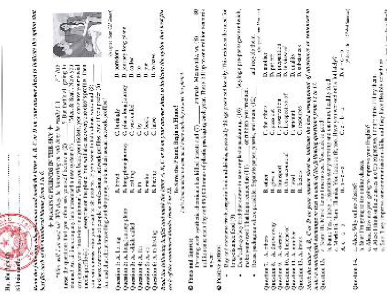 Full Page Photo | PDF