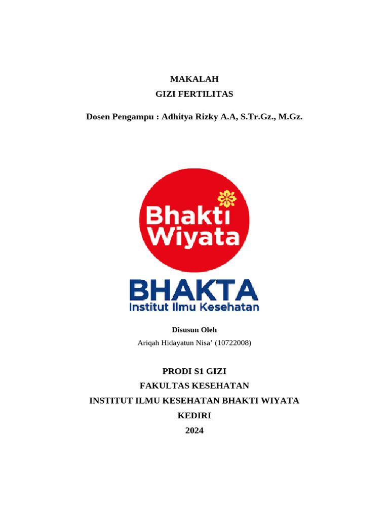 Gizfer Pak Adit | PDF