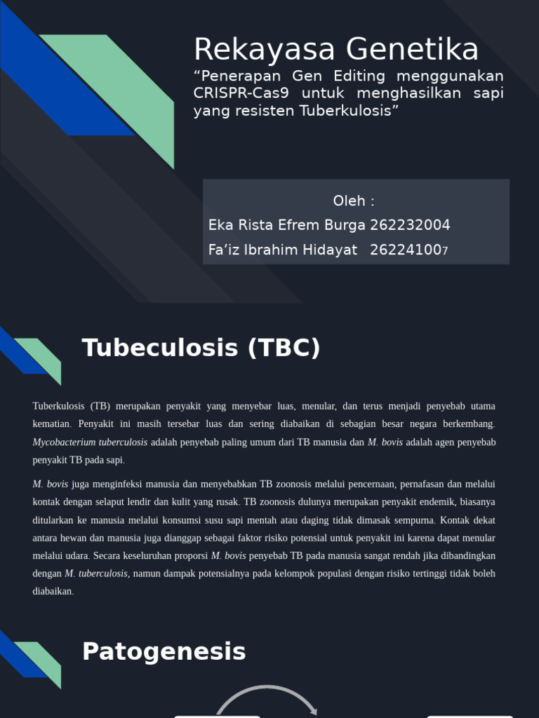 PPT Presntasi Rekayasa Genetik | PDF