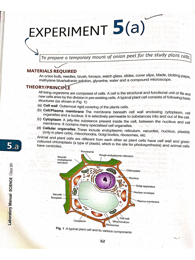 Experiment 4&5 | PDF
