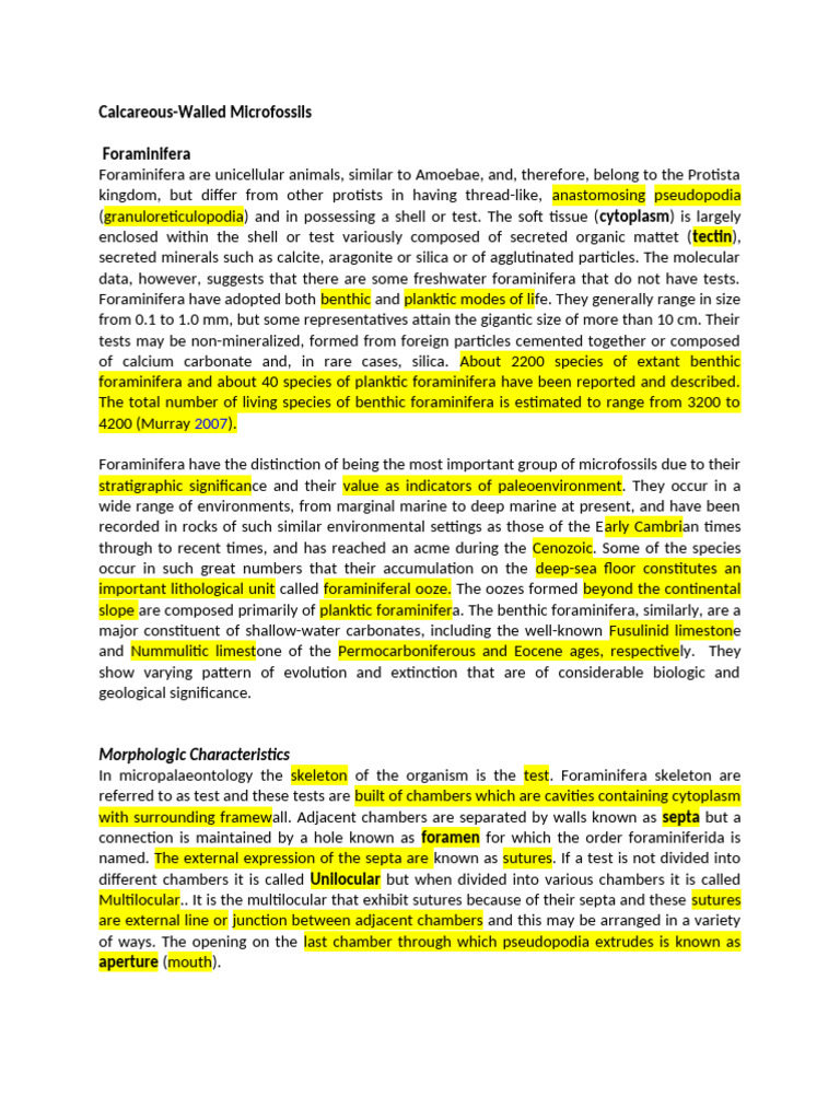 GEY302 module 1-1 | PDF | Calcite