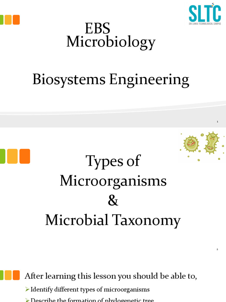 Lecture 3 - Types of Microorganisms (EBS - 2021 - Mar) | PDF | Archaea ...