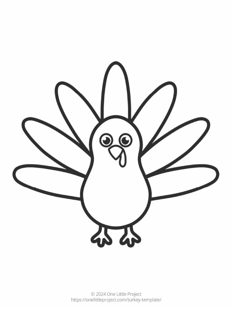 Turkey Shape | PDF