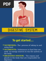 The Digestive System - Grade 6 | PDF | Digestion | Small Intestine
