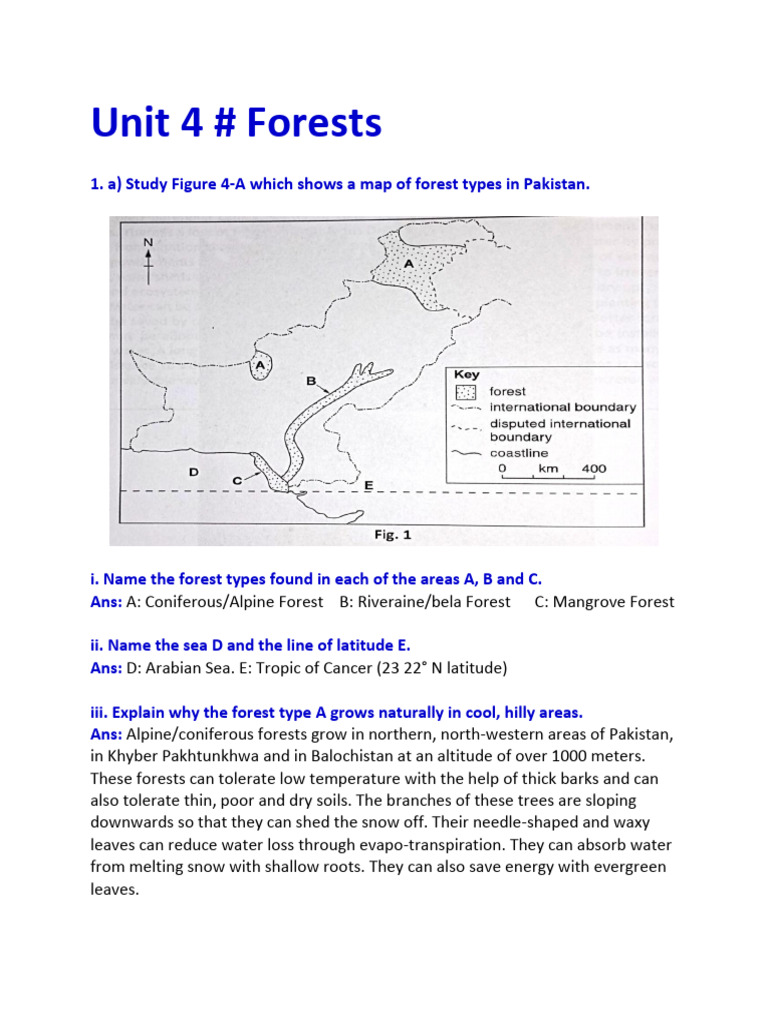 Unit 4 # Forests | PDF | Soil | Forests