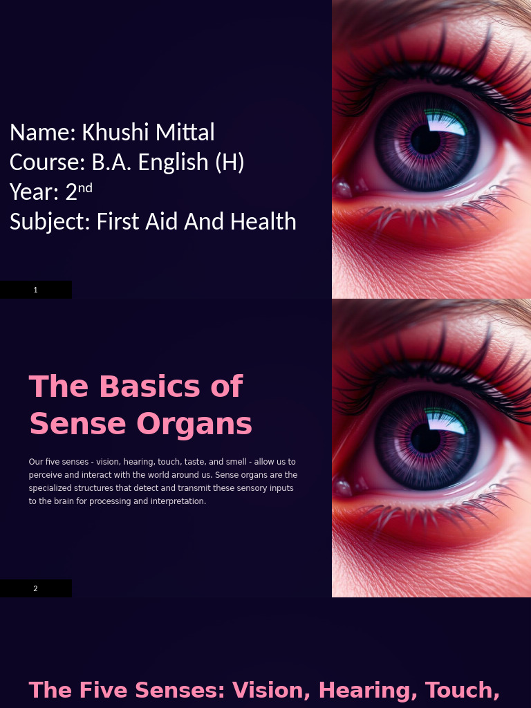 The Basics of Sense Organs | PDF | Senses | Perception
