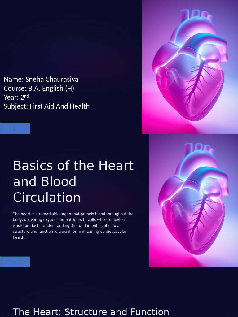 Basics of The Heart and Blood Circulation | PDF | Heart | Blood Vessel