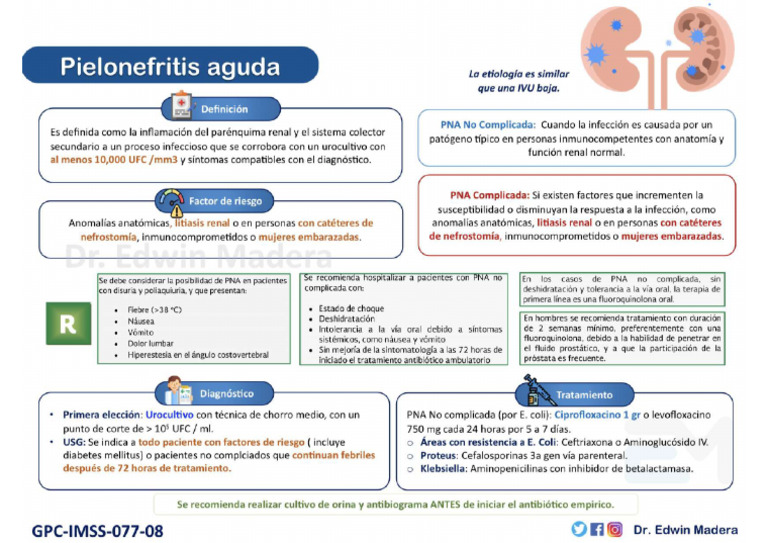 Pielonefritis aguda | PDF