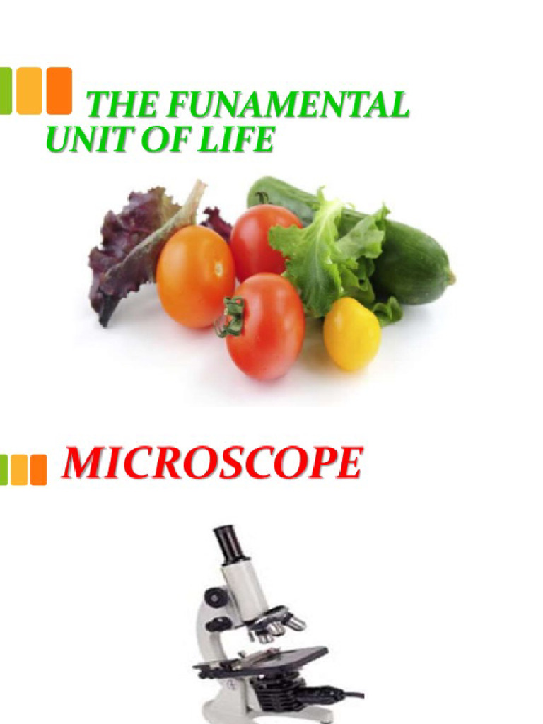 The Fundamental Unit of Life - 1 | PDF