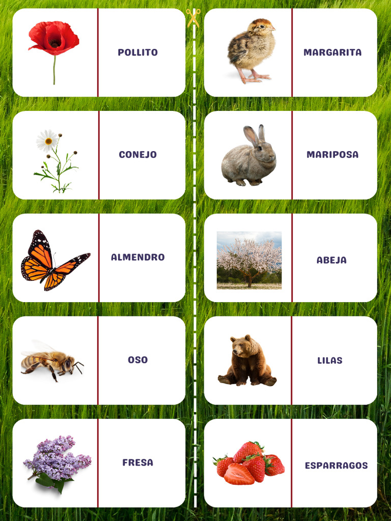 Dominó Primavera | PDF