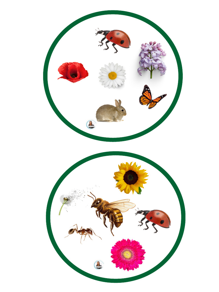 Dobble Primavera | PDF