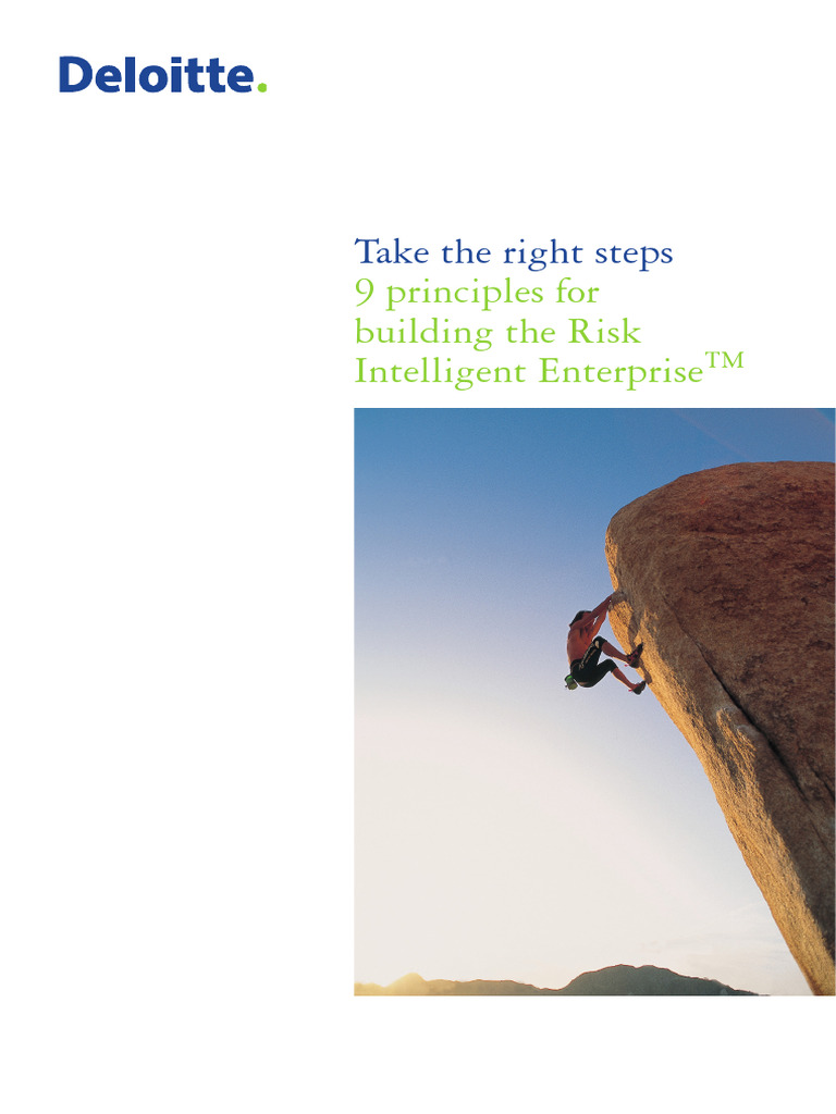 Deloitte_Take the Right Steps_9 Principles for Building the Risk ...