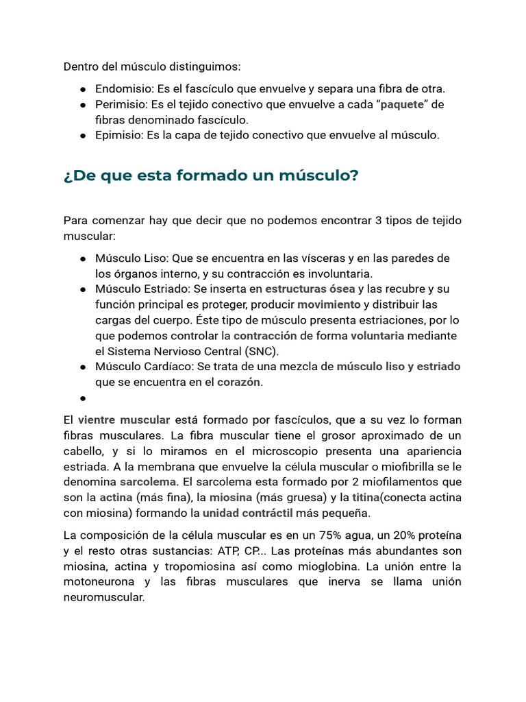 Documento Sin Tíntulo - Documentos de Google | PDF