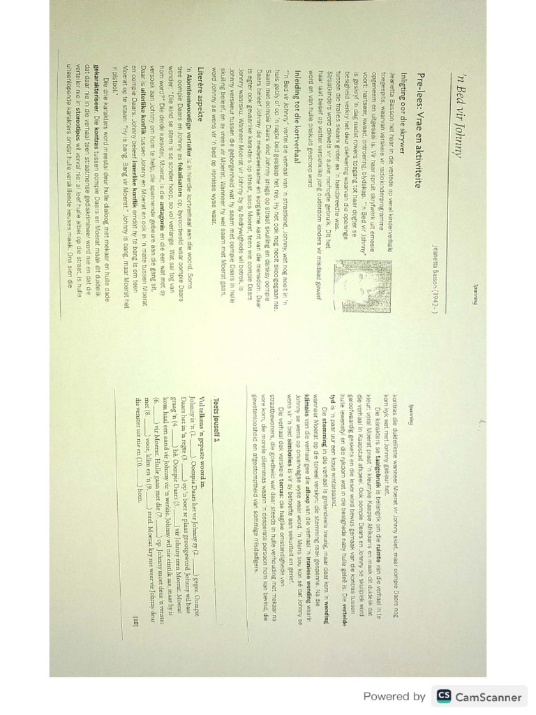 N Bed Vir Johnny | PDF