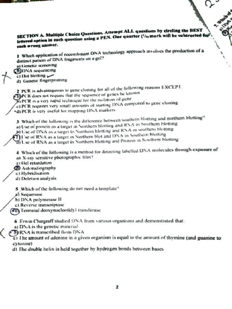 DNA Tech & PCR Quiz | PDF | Primer (Molecular Biology) | Dna