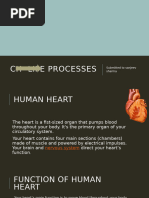 Structure of Human Heart | PDF