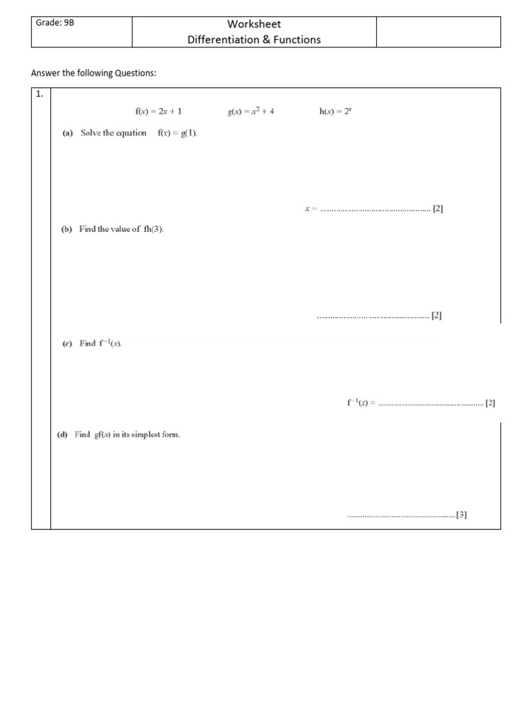 Differentiation and Functions | PDF