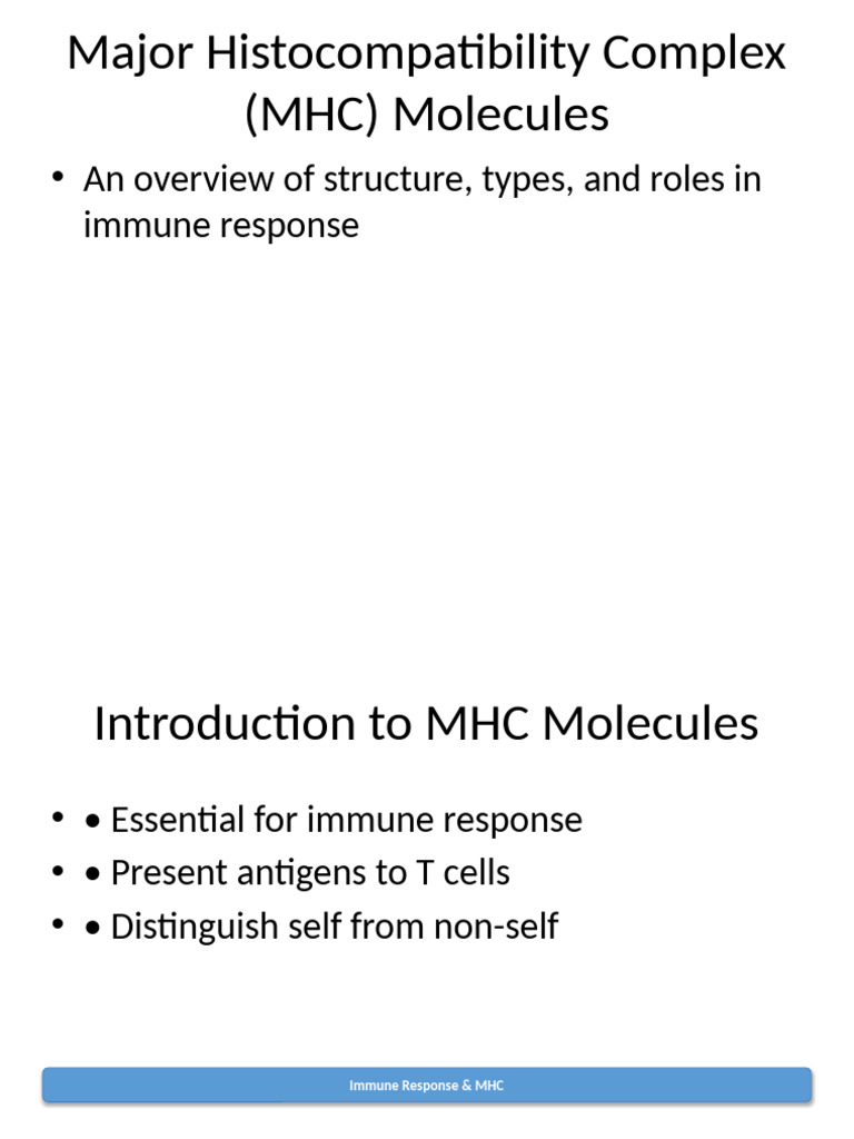 Brief MHC Molecules Presentation | PDF