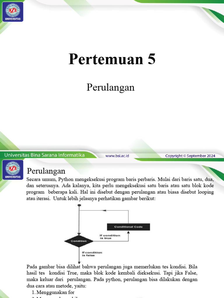 Pertemuan 5: Perulangan | PDF