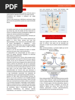 Cinética e Indicadores do Ferro Corporal | PDF | Ferro | Medicina Clínica
