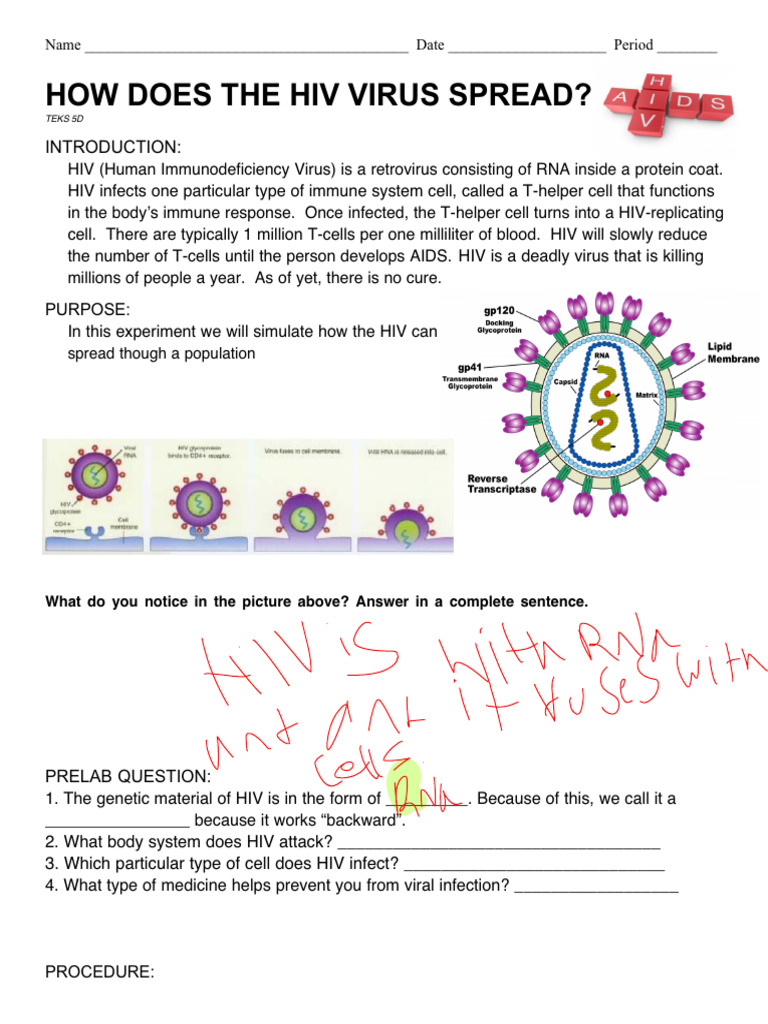 Understanding HIV Virus Transmission | PDF