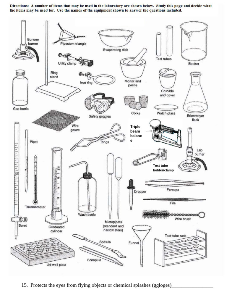 1.2 Lab Equipment worksheet | PDF