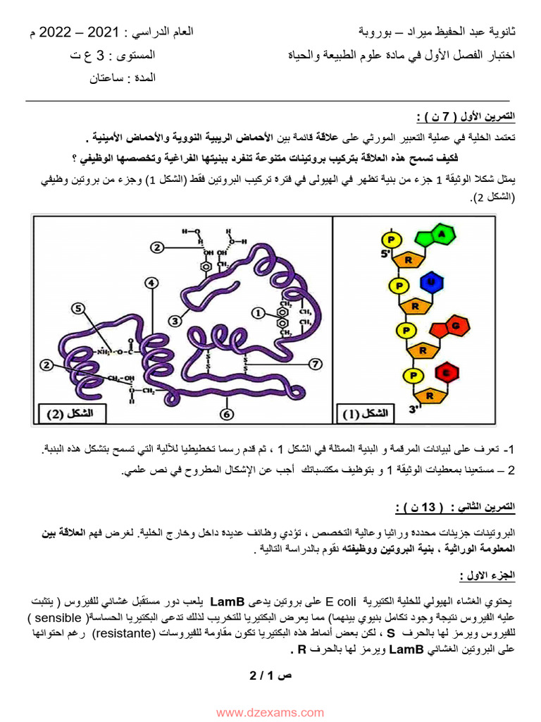 Dzexams 3as Sciences 2914552 | PDF