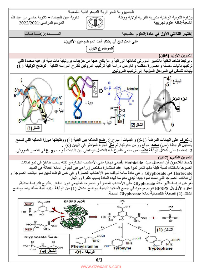 dzexams-3as-sciences-4167599 | PDF