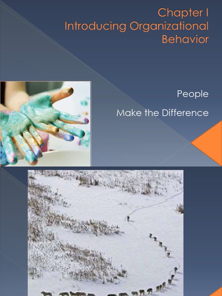 Chapter 1 - Introduction | PDF | Organizational Behavior ...