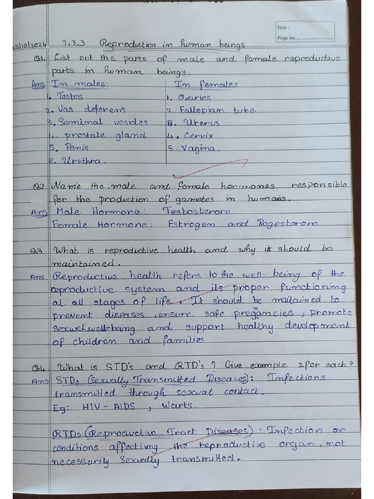 7.3 human Reproductive System grade 10 | PDF