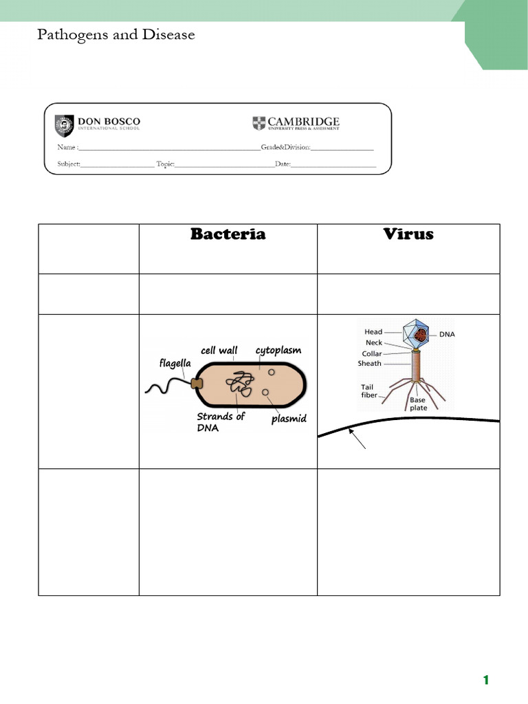 L2 Pathogens and Disease QP | PDF | Pathogen | Bacteria