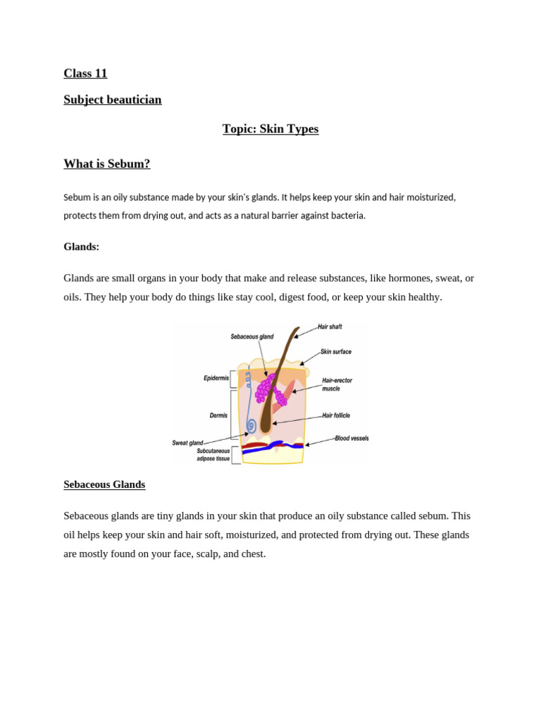 Understanding Skin Types and Sebum | PDF | Integumentary System | Human ...
