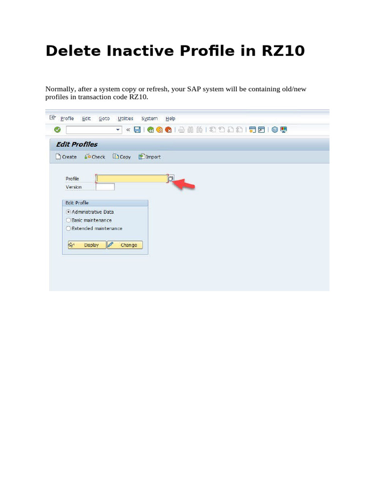 Delete Inactive Profile in RZ10 | PDF