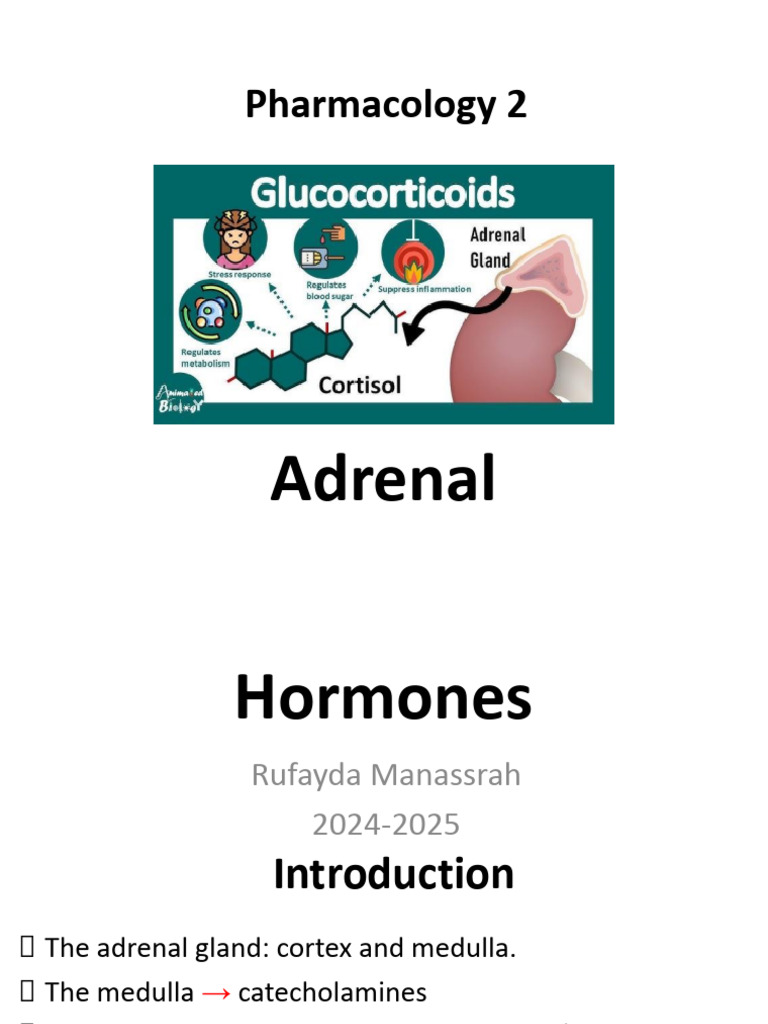 Adrenal Hormones | PDF | Glucocorticoid | Adrenal Gland
