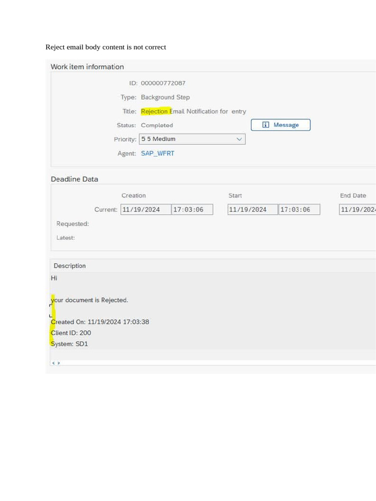 Workflow Issues | PDF