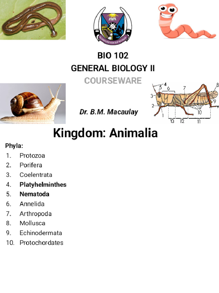 BIO 102 Coursework - Dr BM Macaulay_Phoenix | PDF