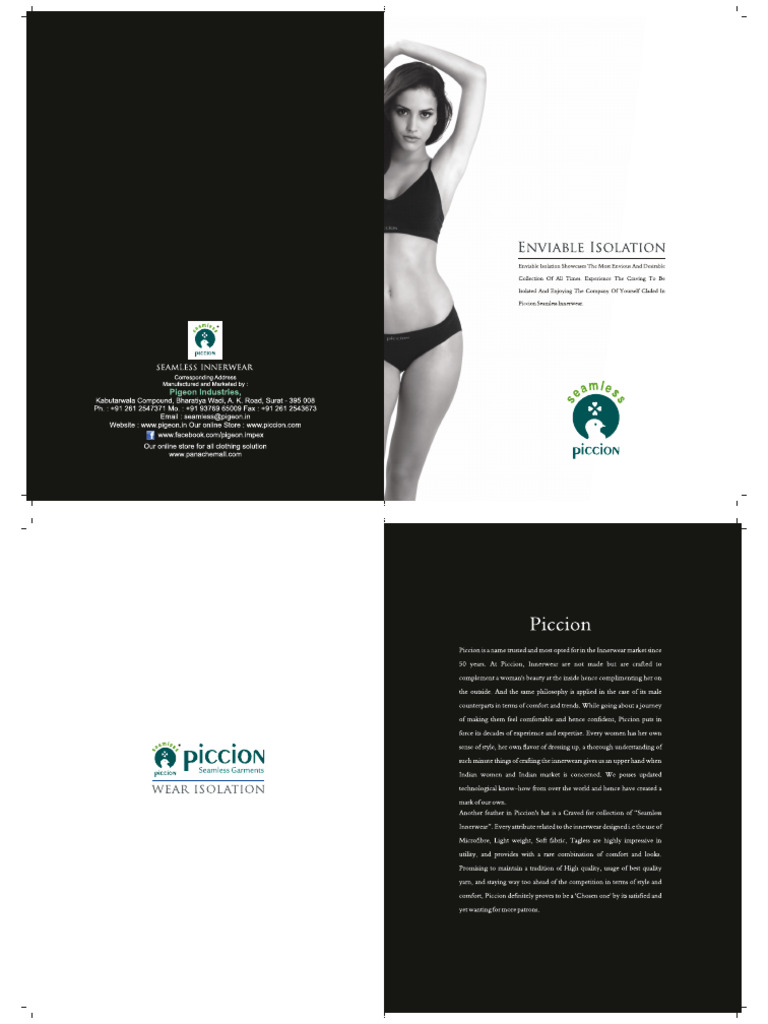 Piccion Catlog Final Printing-1 | PDF | Grey | Red