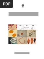 Technique de Baermann | PDF | Infection | Nematoda