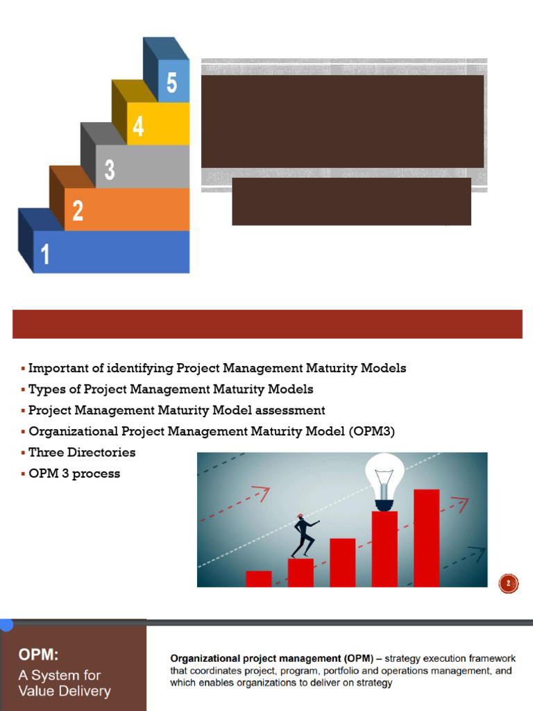 6. Project Maturity Models | PDF | Project Management | Business