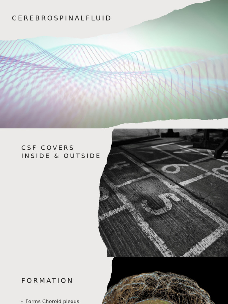 CSF | PDF