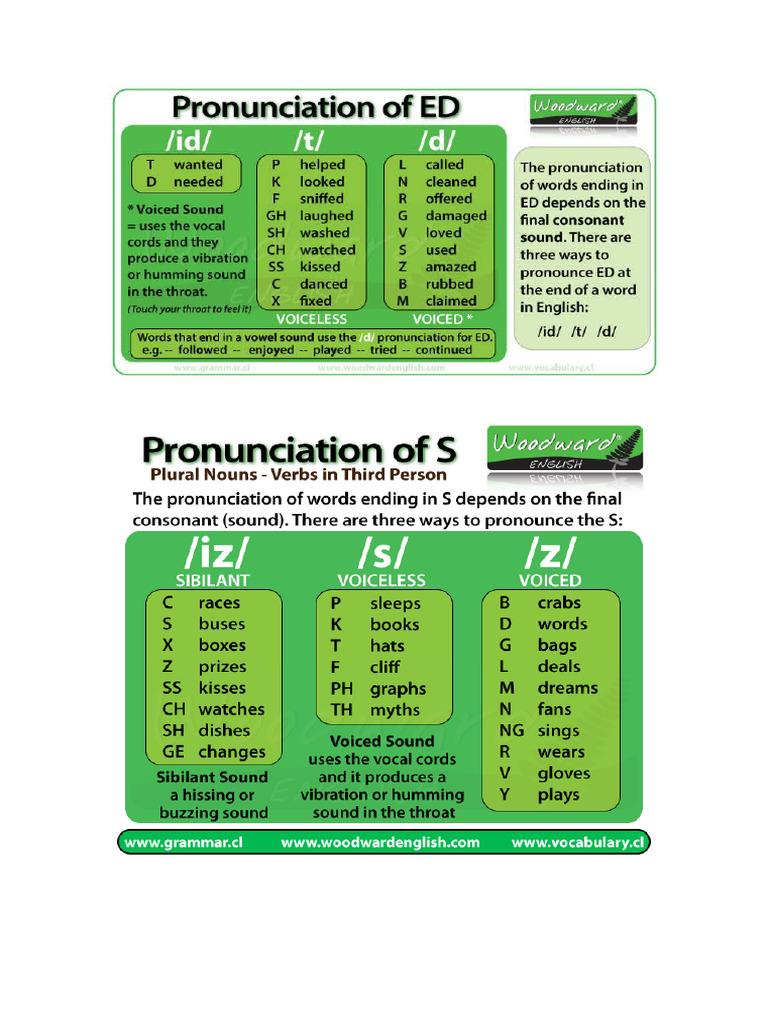 Pronunciation Final S and Final Ed | PDF
