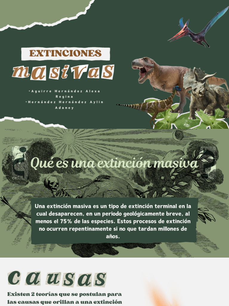 Causas y tipos de extinciones masivas | PDF | Extinción | Era de Hielo