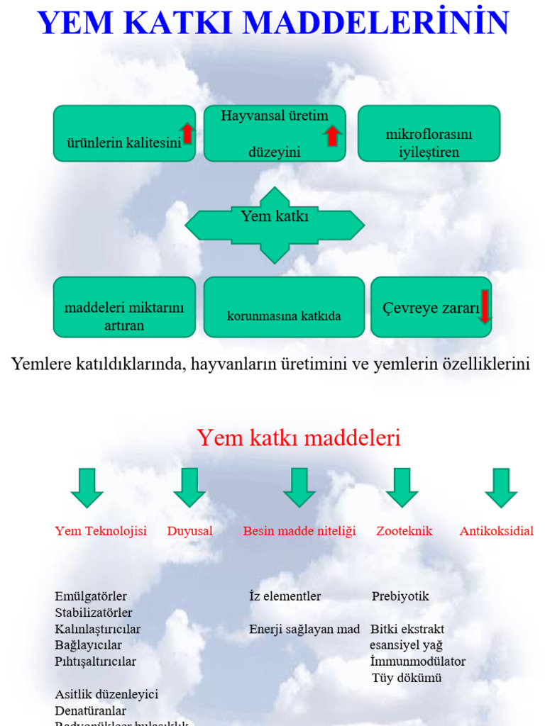 Yem Katkı Maddeleri | PDF