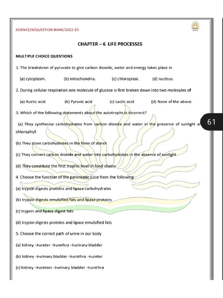 Revision Questions | PDF