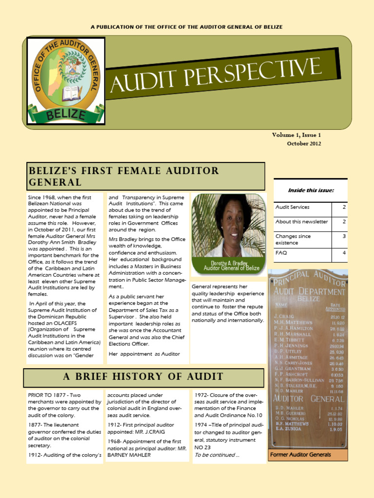 AUDIT PERSPECTVE NEWSLETTER VOLUME 1 Final | PDF | Audit | Business