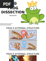 Lab Manual Toad Dissection | PDF | Abdomen | Medical Specialties