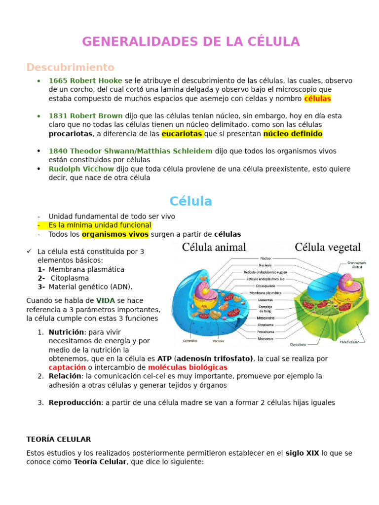 GENERALIDADES DE LA CÉLULA RESUMEN DE CLASE | PDF | Biología Celular) | Nucleo celular